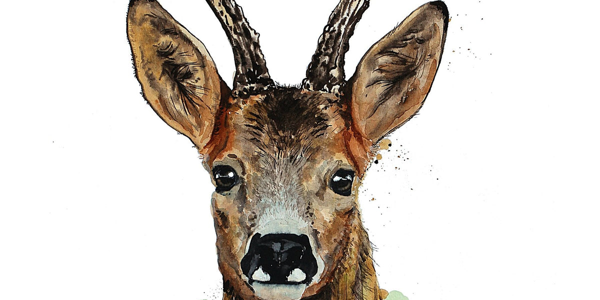 Danske dyr akvarelplakater & kunsttryk → Køb nu